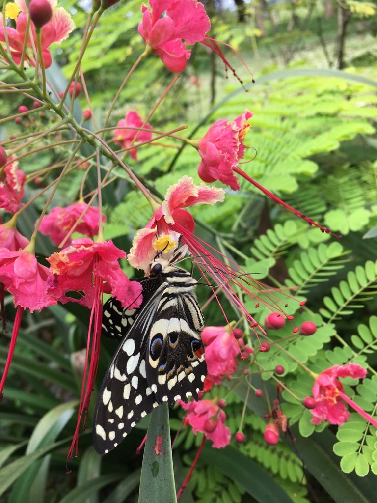 O Praise Him! | Gather the Fragments